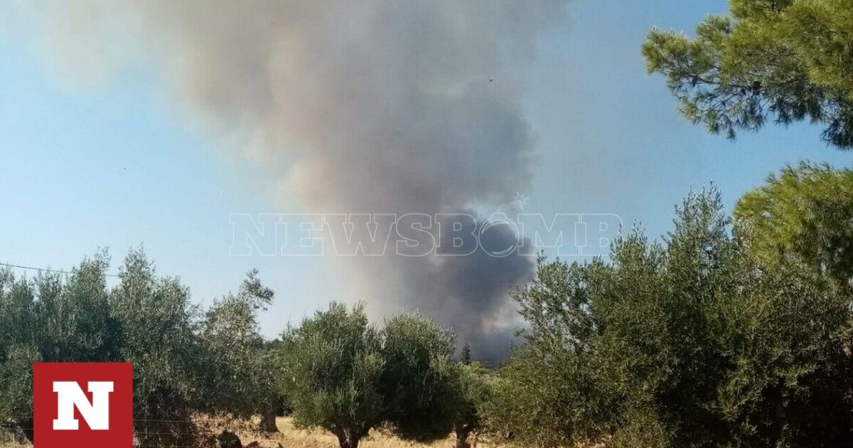 Το Newsbomb.gr στο πύρινο μέτωπο της Μάνδρας - Εκκενώθηκαν οικισμοί ...