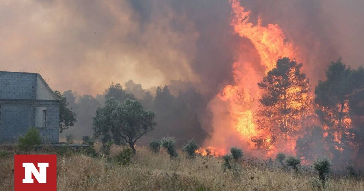 Φωτιά: Συνεχίζεται η μάχη στη Δαδιά, οριοθετήθηκε η πυρκαγιά στη ...