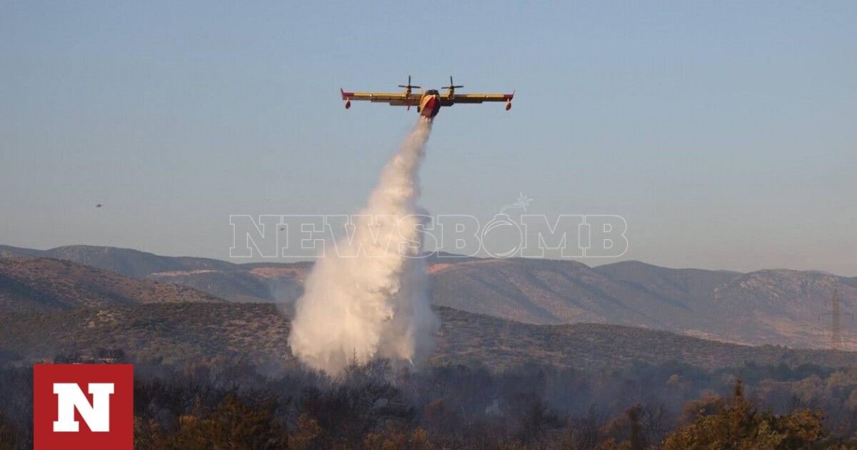 Σε εξέλιξη η φωτιά στη Μάνδρα, δύο προσαγωγές - Συγκλονιστικές ...