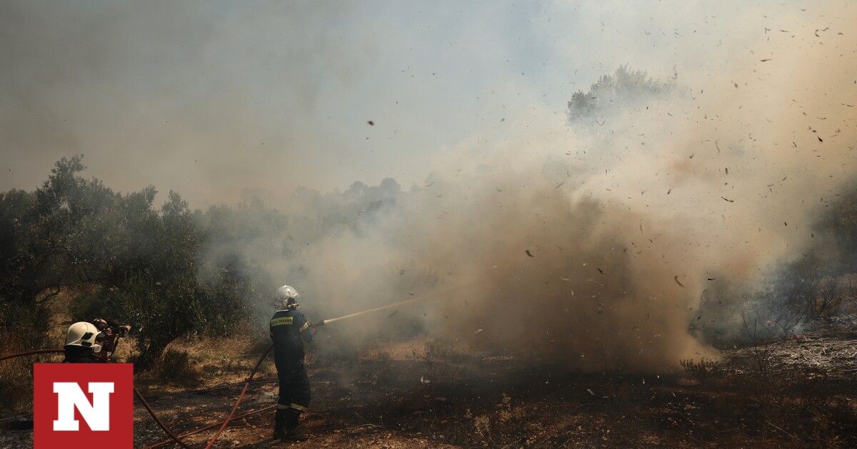 Προσήχθη ηλικιωμένος για τη φωτιά στον Ασπρόπυργο - Σύλληψη 25χρονου ...