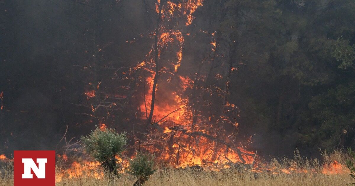 Πυρκαγιές: Πολύ υψηλός κίνδυνος και την Τρίτη – Οι περιοχές που είναι ...