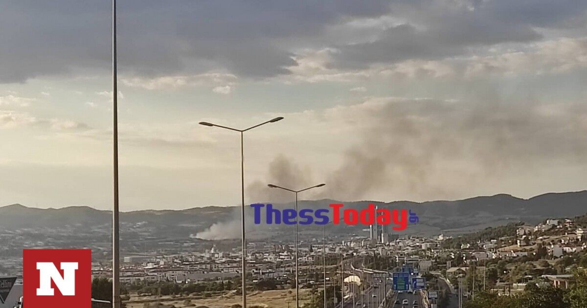 Φωτιά τώρα: Μεγάλη κινητοποίηση της πυροσβεστικής στο Ωραιόκαστρο ...