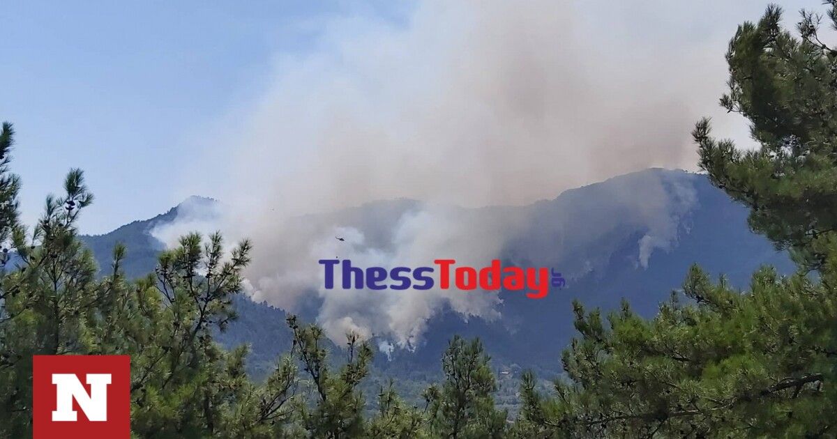 Φωτιά στη Θάσο: Μαίνεται ανεξέλεγκτη η πυρκαγιά - Ο Στρατός στη μάχη με ...