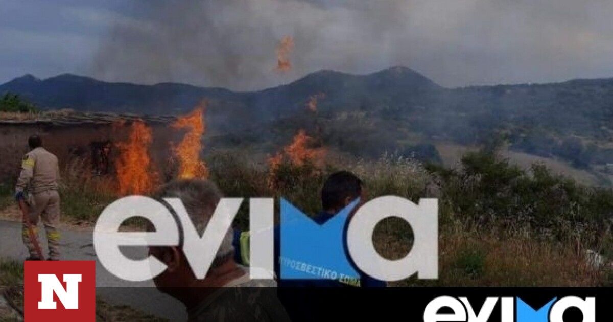 Εύβοια: Φωτιά τώρα στο Βασιλικό κοντά σε σπίτια - Newsbomb