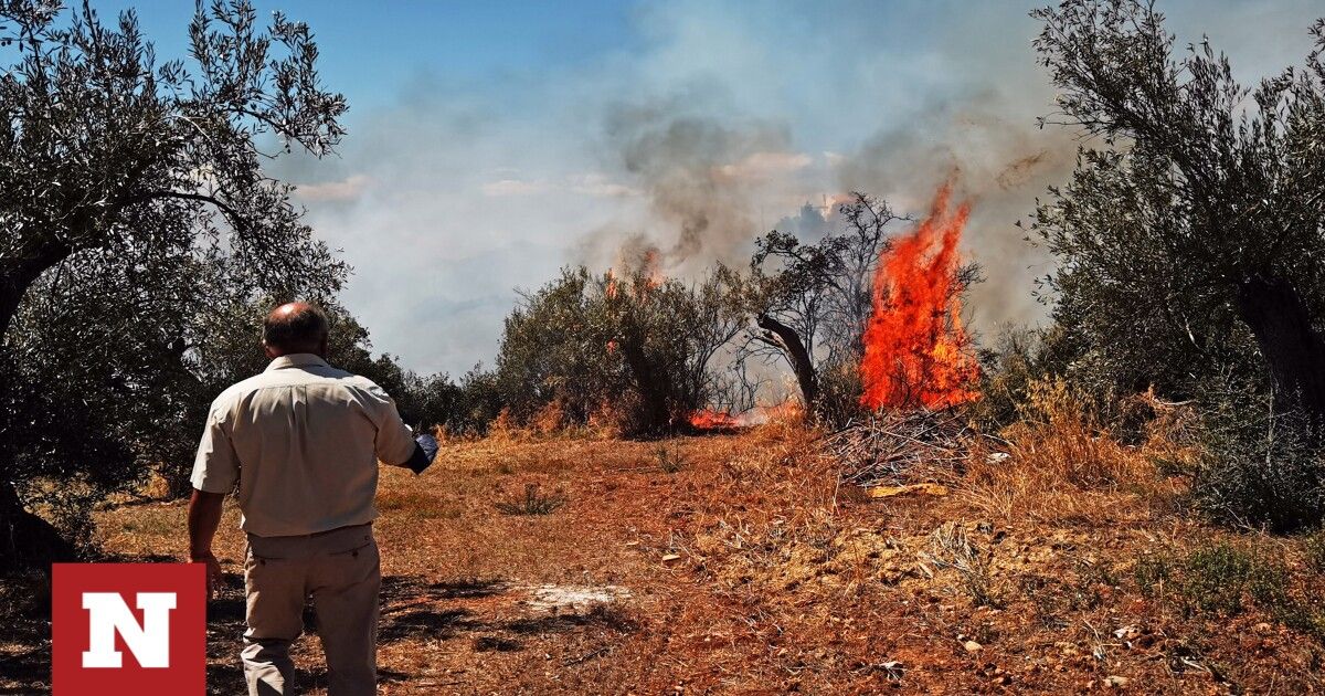 Οριοθετήθηκε η φωτιά στα Πυργιώτικα Ναυπλίου - 51 δασικές πυρκαγιές σε ...