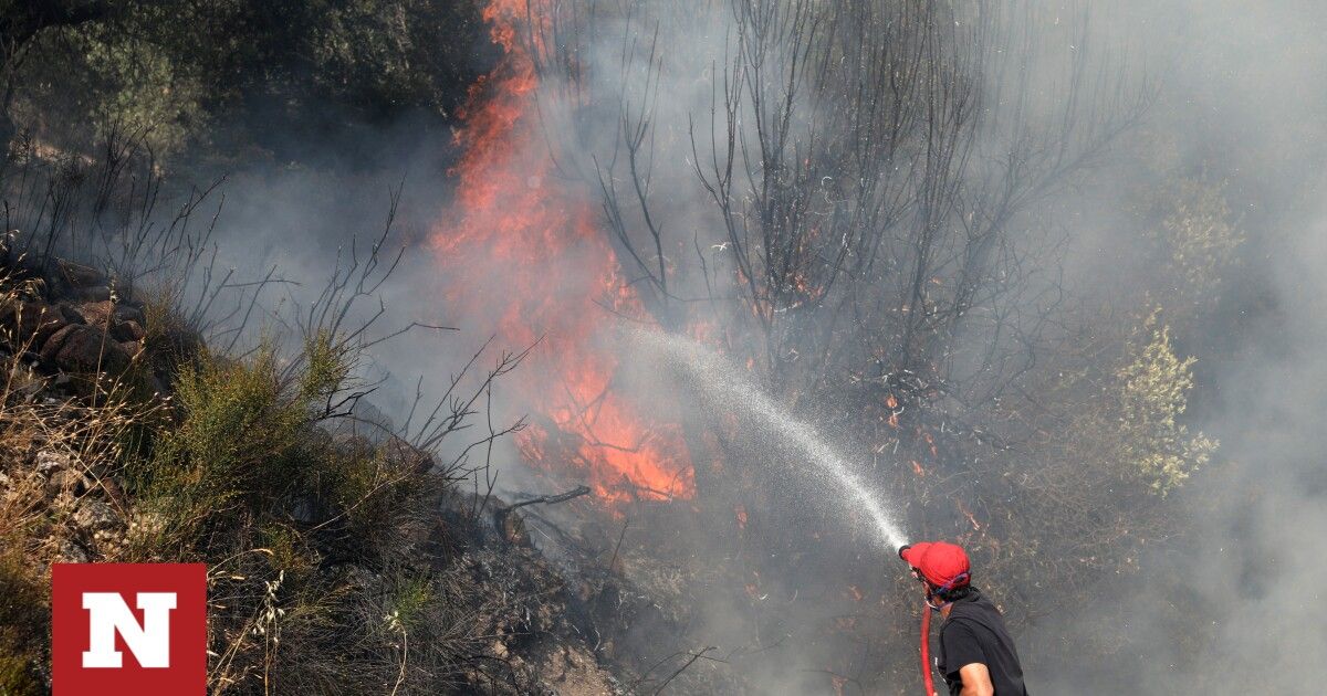 Φωτιά στην περιοχή Τσελεπάκος του δήμου Τρίπολης - Newsbomb