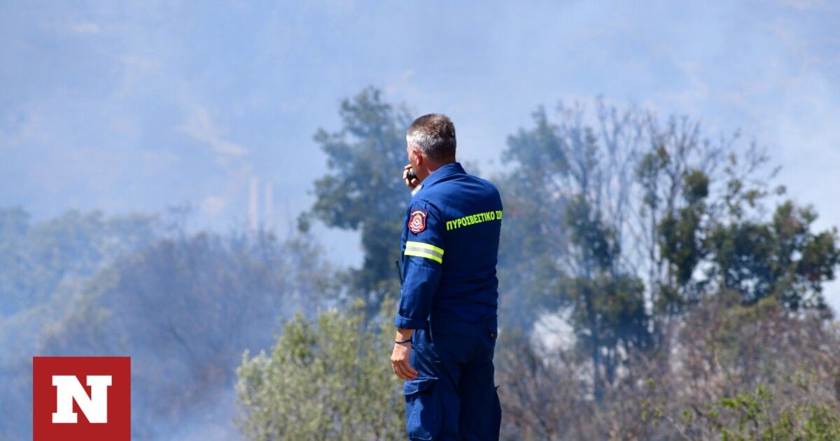 Φωτιές τώρα: Η εικόνα από τα μέτωπα σε Αρκαδία και Πρέβεζα - Newsbomb