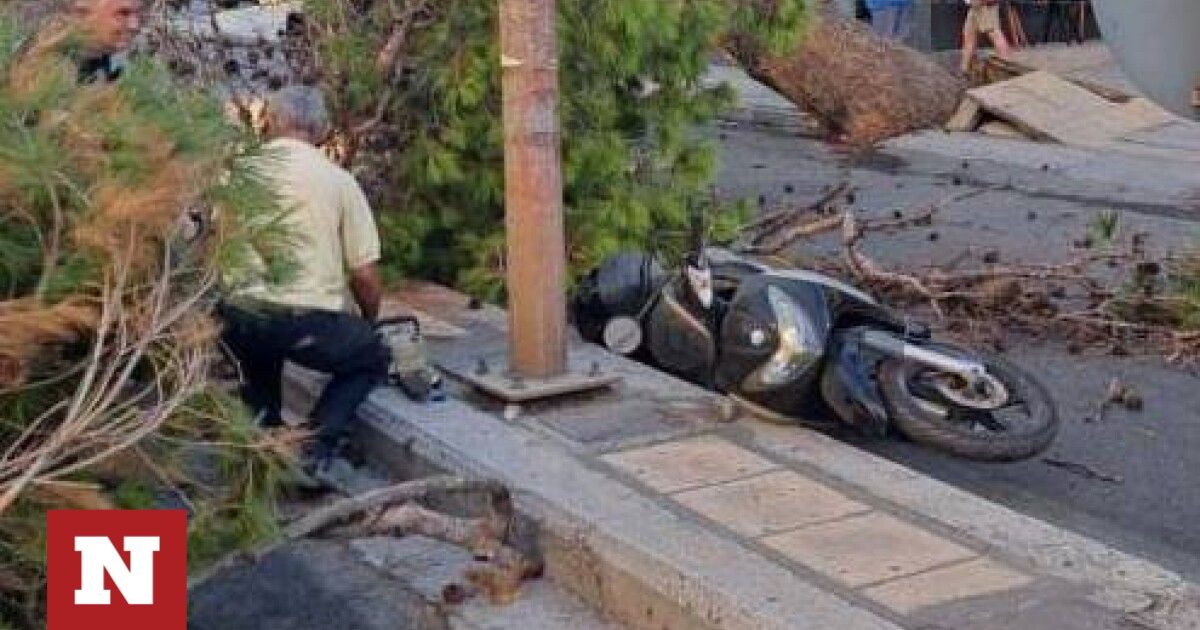 Δήμαρχος Ηρακλείου στο Newsbomb.gr για τον θάνατο του 50χρονου: «Οι ...