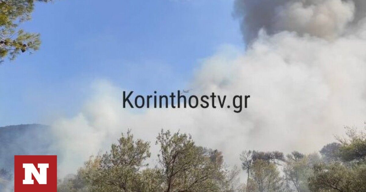 Φωτιά σε δασική έκταση στην Κορινθία - Newsbomb