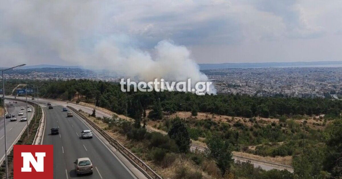 Φωτιά τώρα στη Θεσσαλονίκη: Σε εξέλιξη η πυρκαγιά στο δάσος του Σέιχ ...