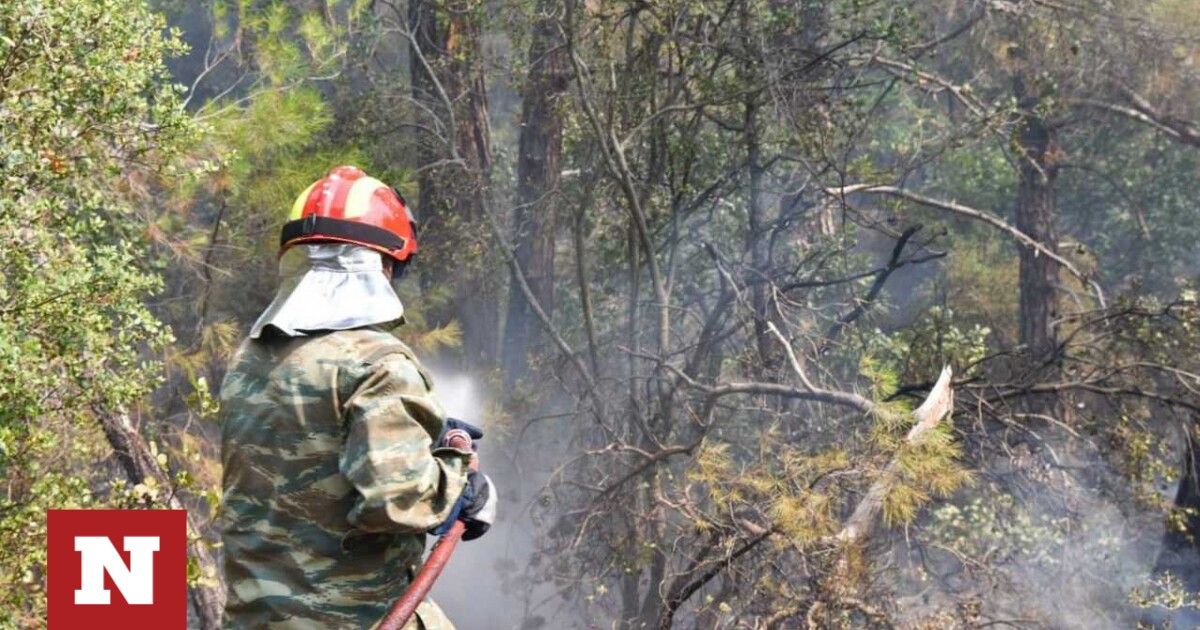 Συναγερμός στη Πυροσβεστική: Δασική πυρκαγιά στο Δίστομο Βοιωτίας ...