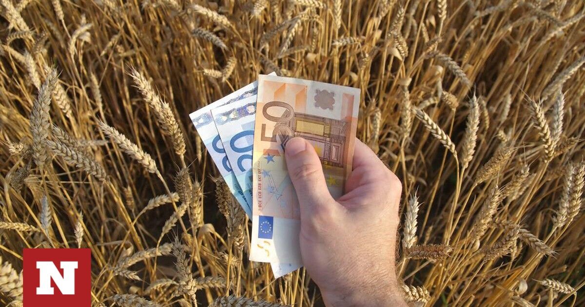 Νέοι Αγρότες: 1.101 οι δικαιούχοι στην Περιφέρεια Πελοποννήσου - Θα ...