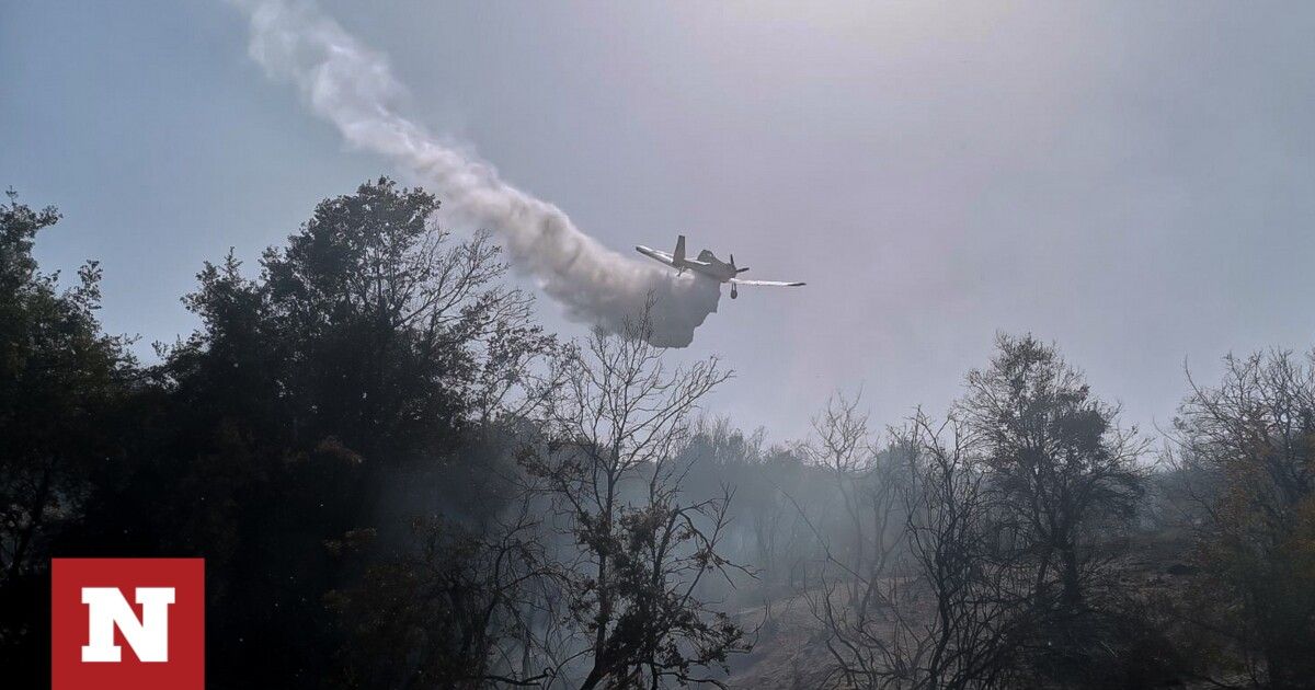 Κρήτη: Σε εξέλιξη μεγάλη φωτιά στα Δελιανά - Newsbomb