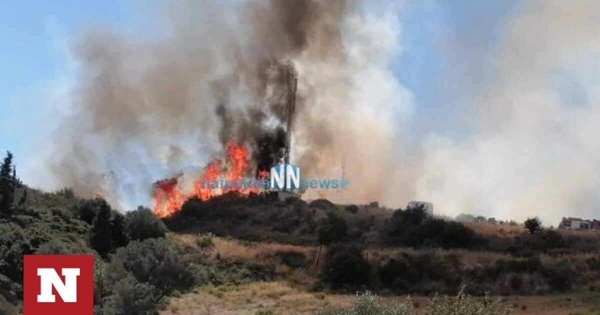 Φωτιά τώρα στη Ναύπακτο: Στη μάχη και εναέρια μέσα στην περιοχή ...