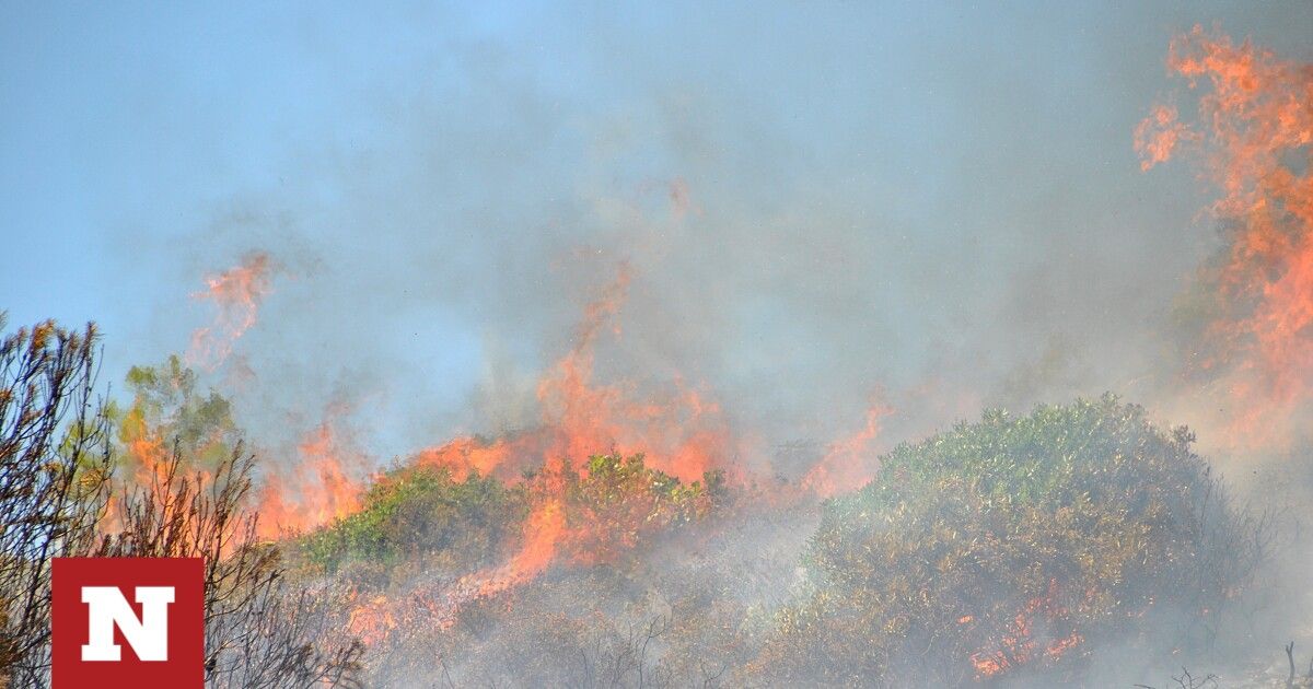 Φωτιά τώρα στη Ζάκυνθο - Επιχειρούν ισχυρές επίγειες και εναέριες ...
