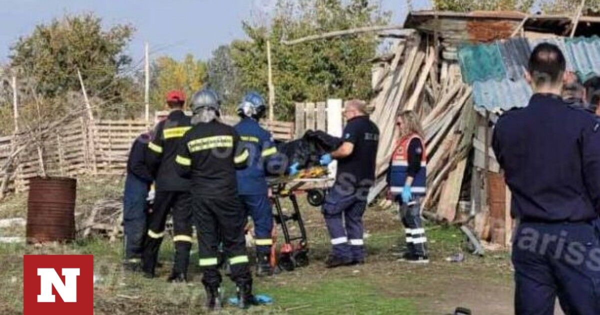 Λάρισα: Δέντρο καταπλάκωσε και σκότωσε γυναίκα - Newsbomb