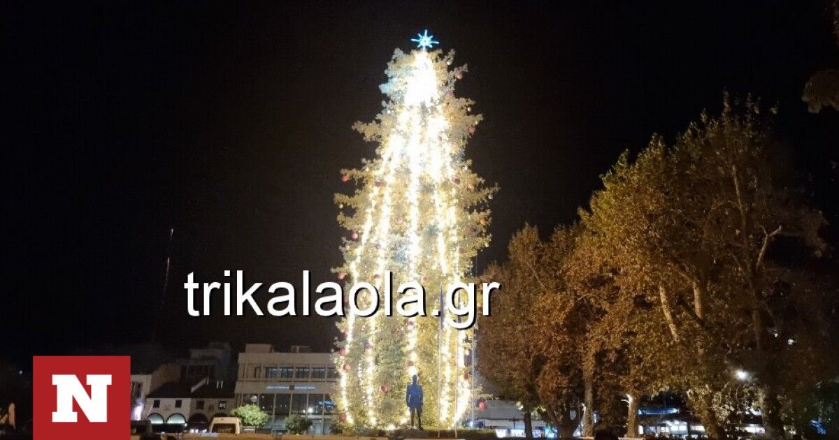 Τρίκαλα: Φωταγωγήθηκε το ψηλότερο φυσικό χριστουγεννιάτικο δέντρο ...