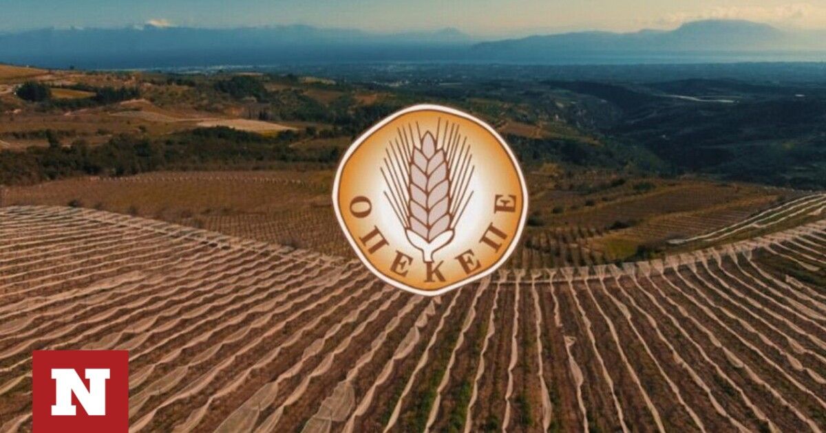 ΟΠΕΚΕΠΕ: Πώς θα εφαρμοστεί η γεωσήμανση αγροτεμαχίων - Newsbomb