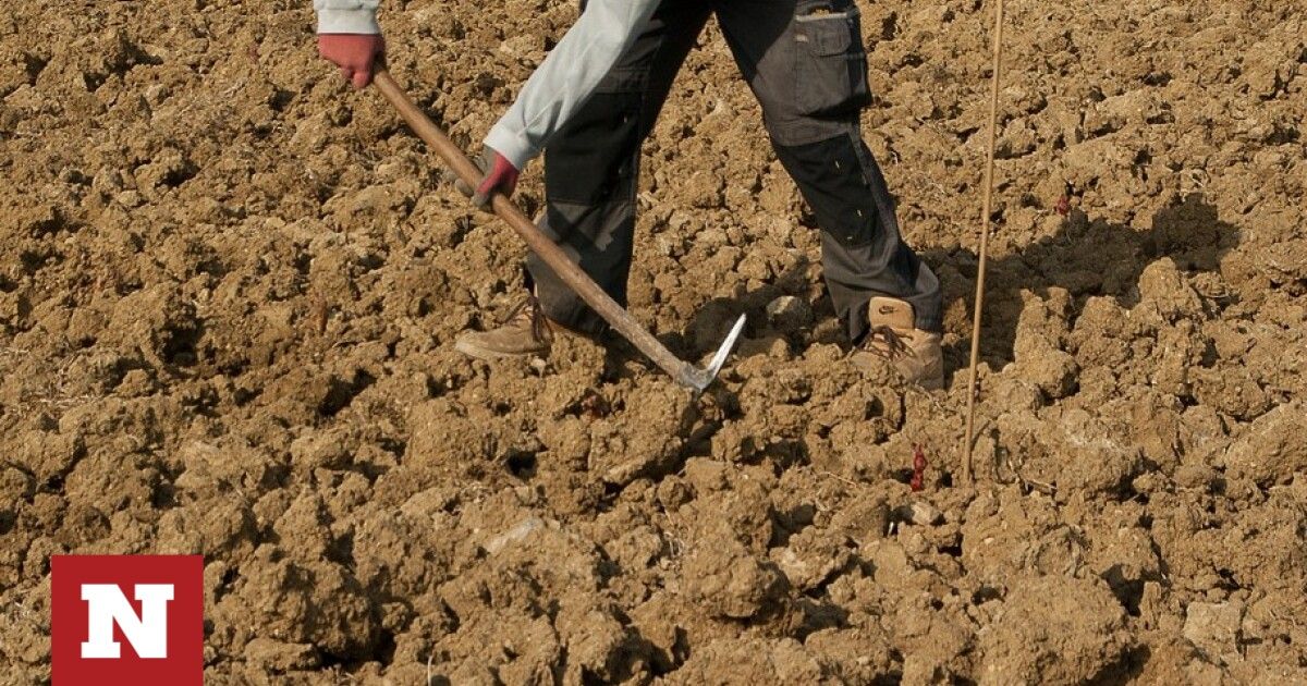 Λαρισαίος αγρότης έκρυβε αρχαία αξίας χιλιάδων ευρώ στην αυλή του ...