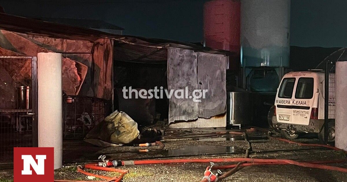 Θεσσαλονίκη: Φωτιά σε επιχείρηση - Στο νοσοκομείο άνδρας με εγκαύματα ...