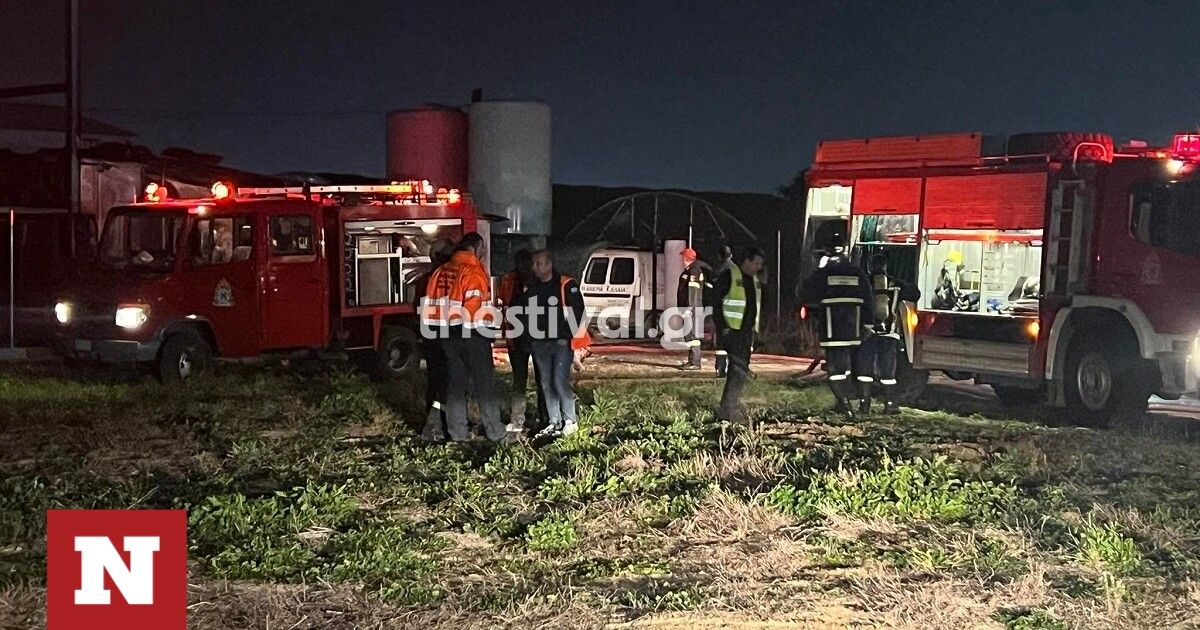 Θεσσαλονίκη: Συγκλονιστική μαρτυρία για τον εγκαυματία - Newsbomb