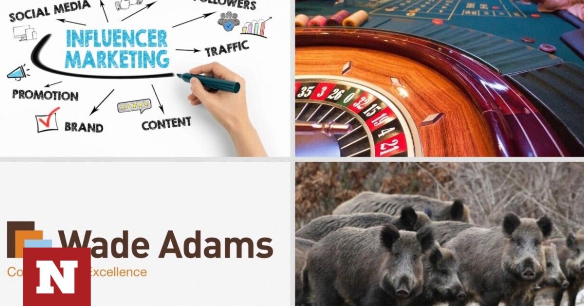 Οι fin-influencer, η Wade Adams και οι αγριόχοιροι της αεροπορίας ...