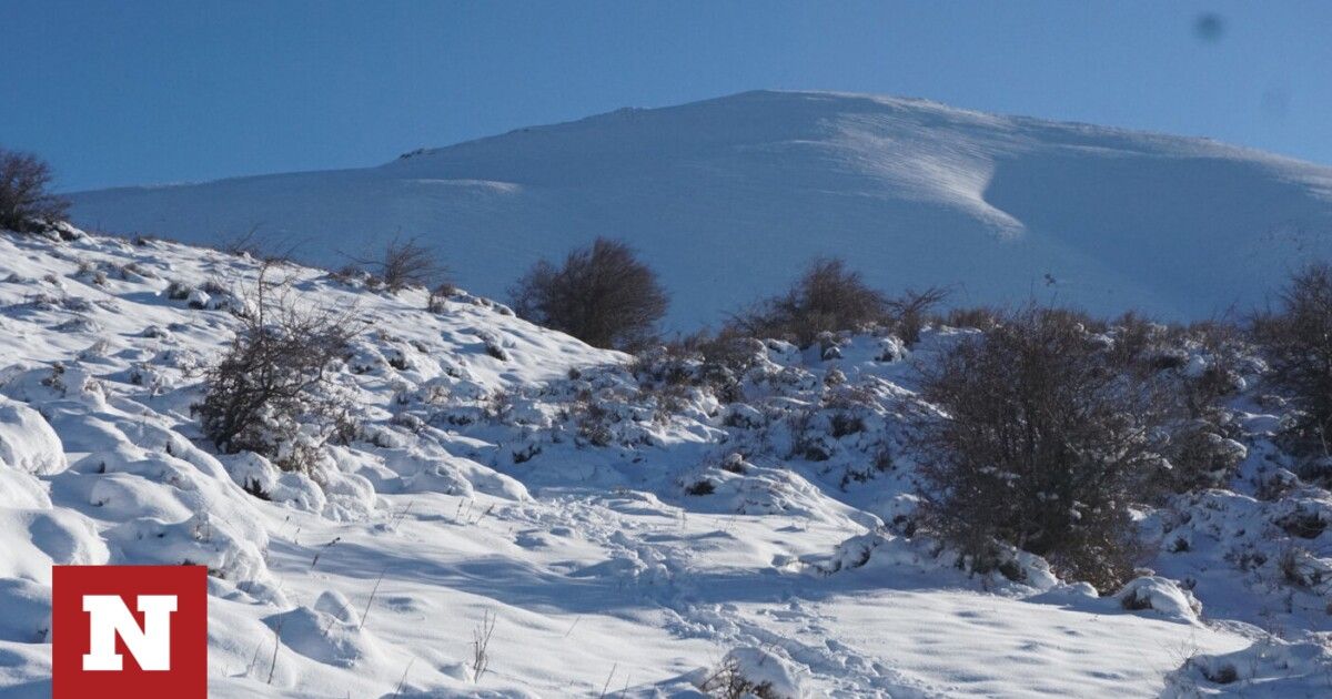«Λευκή» μαγεία στη Λάρισα: Μαγευτικές εικόνες από τον χιονισμένο ...