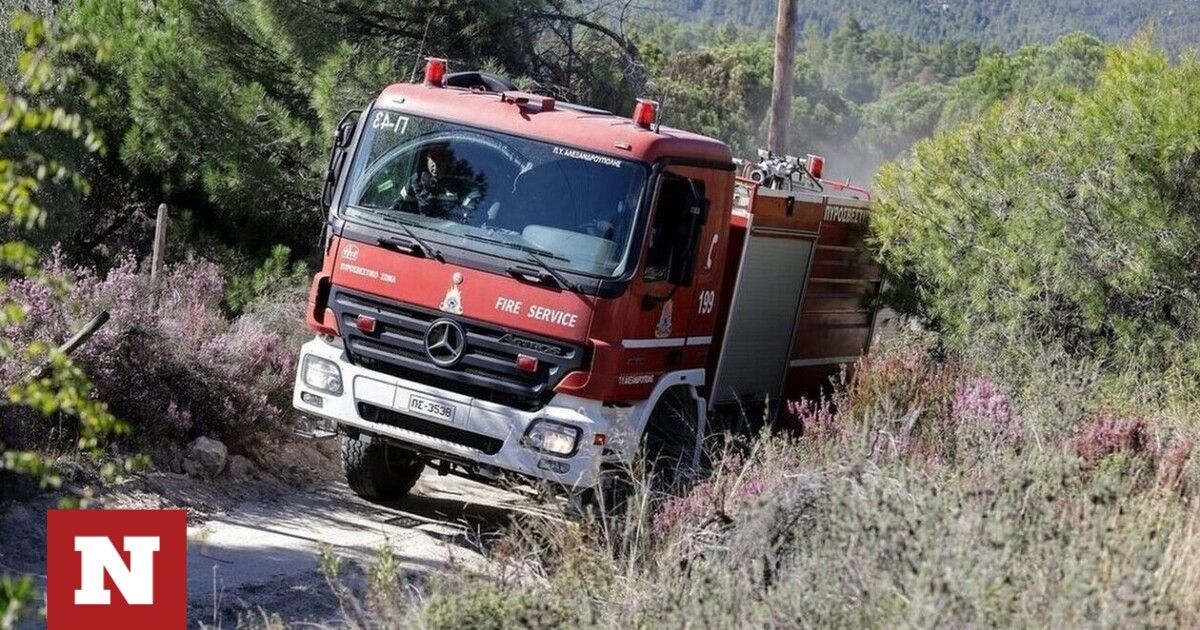 Συναγερμός στη Βωβούσα: Πυρκαγιά σε εργοστάσιο ξυλείας - Καίγονται και ...