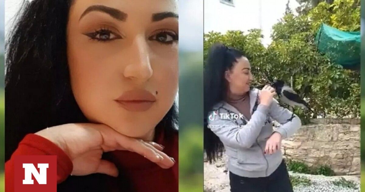 Κορακίδης, το πιο viral πτηνό του TikTok ζει στο Ρέθυμνο - Newsbomb