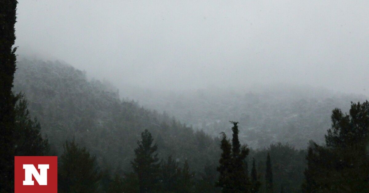 Ο Υμηττός γίνεται «πιλότος» για τα βουνά της Ελλάδας - Newsbomb