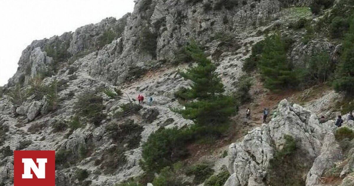 Παραλίγο τραγωδία στην Κρήτη - Αγροτικό έπεσε σε γκρεμό! - Newsbomb