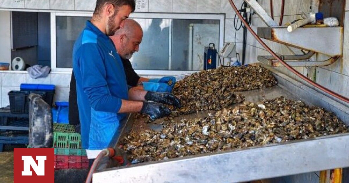 Η επιχείρηση του μέλλοντος με το πιο αηδιαστικό προϊόν ήρθε και στην ...