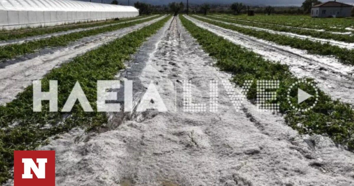 Σφοδρή χαλαζόπτωση στην Ηλεία - Καταστράφηκαν καλλιέργειες - Σε ...