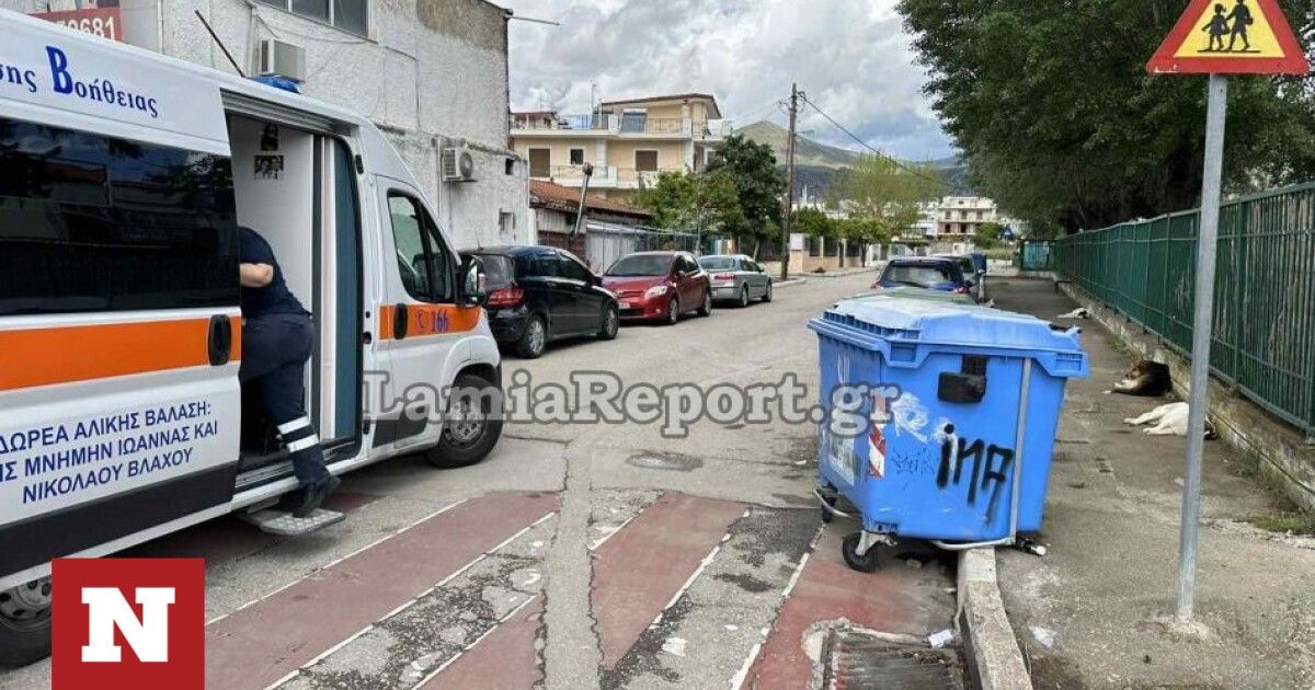 Επίθεση αδέσποτων στη Λαμία: Δάγκωσαν περαστικό την ώρα που περπατούσε ...