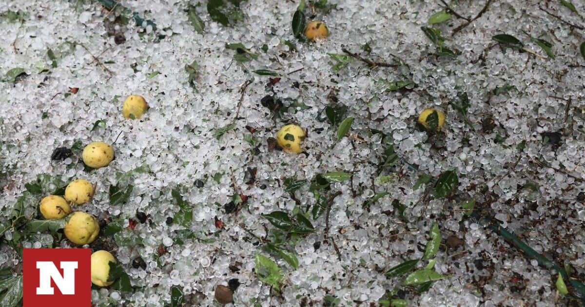Γρεβενά: Πρωτοφανές χαλάζι κατέστρεψε καλλιέργειες - Λευκό τοπίο ...