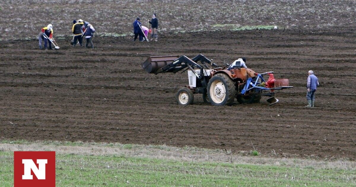 ΟΠΕΚΕΠΕ: Πληρωμές 30 εκατ. ευρώ σε 38.000 δικαιούχους – Ποιους αφορά - Newsbomb