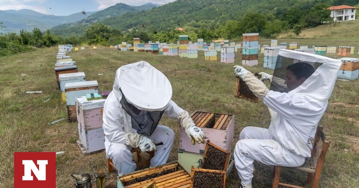 Μέχρι 30 Ιουνίου οι αιτήσεις για οικονομική στήριξη της νομαδικής ...