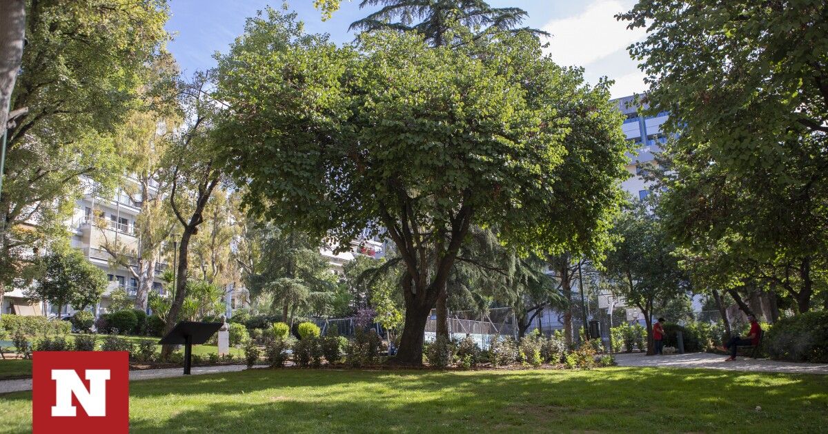 Πώς η πλατεία «Σοφία Βέμπο» στους Αμπελόκηπους μετατράπηκε σε έναν ...