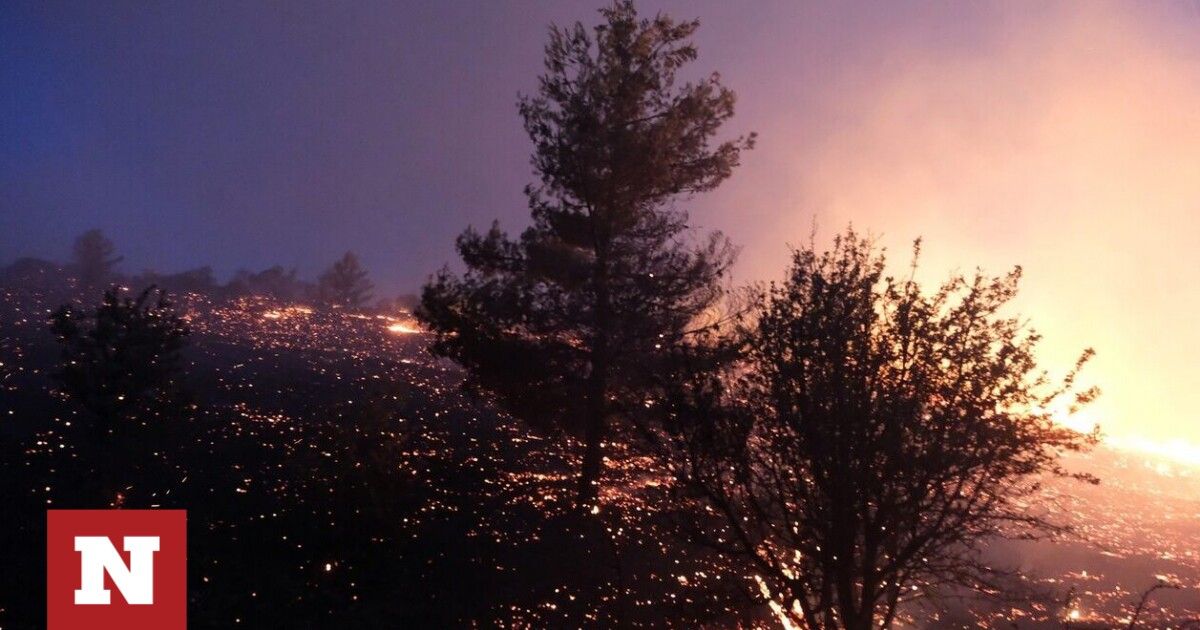 Υπό πλήρη έλεγχο η φωτιά στη Μυτιλήνη - Newsbomb