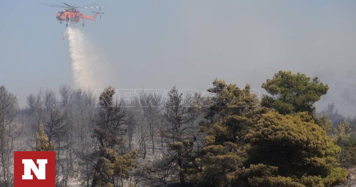 Φωτιά στον Ωρωπό: Βελτιωμένη εικόνα, παραμένει ισχυρή δύναμη της ...