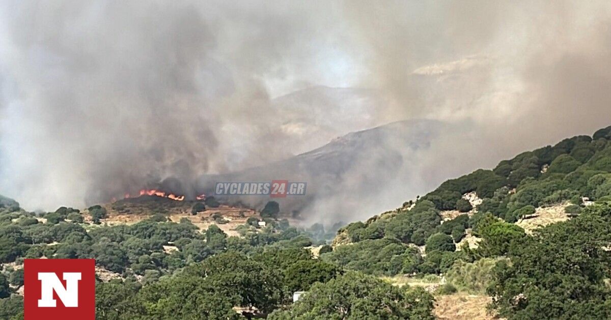 Φωτιά στη Νάξο: Μεγάλη επιχείρηση της Πυροσβεστικής - Ενισχύθηκαν οι ...