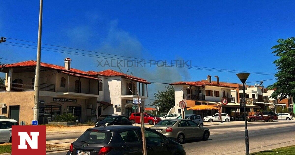 Φωτιά στη Χαλκιδική - Χωρίς ρεύμα η περιοχή της Νικήτης - Newsbomb