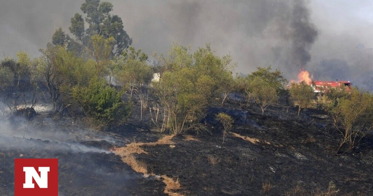 Πολύ υψηλός κίνδυνος πυρκαγιάς για έξι περιφέρειες σήμερα Κυριακή -Σε ...