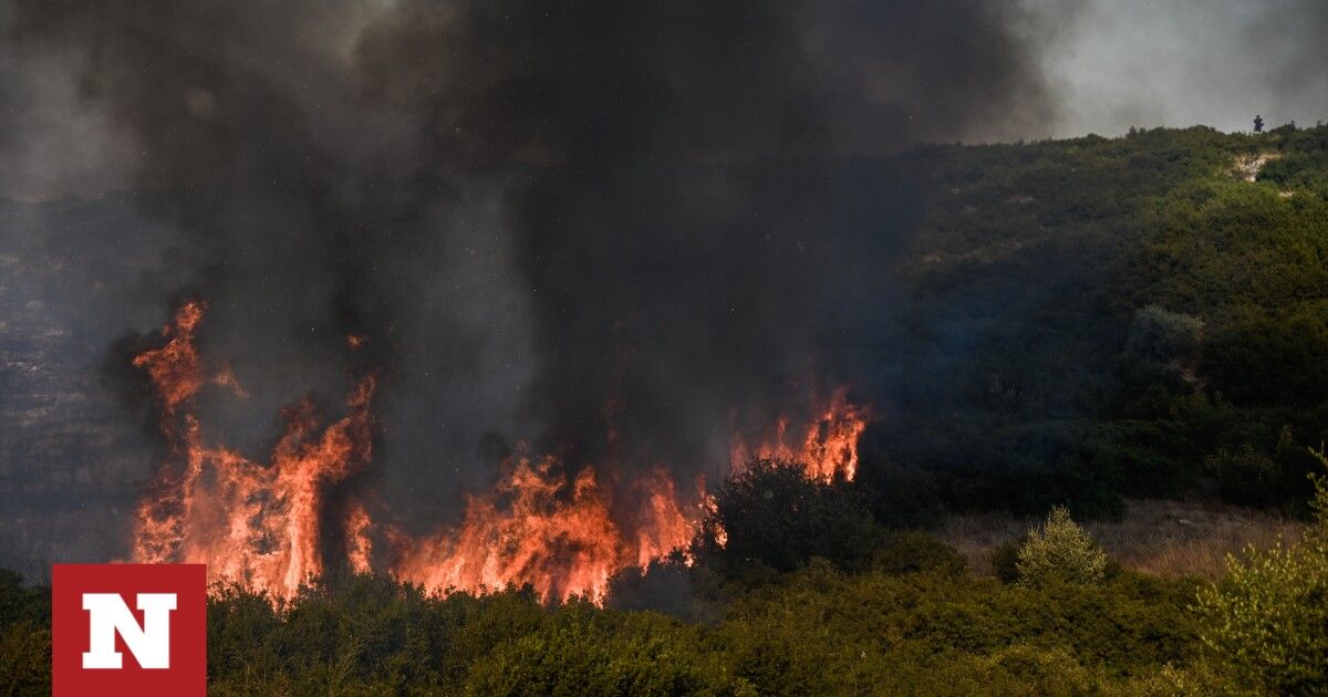 Πυροσβεστική: 37 δασικές πυρκαγιές το τελευταίο 24ωρο - Υψηλός κίνδυνος ...