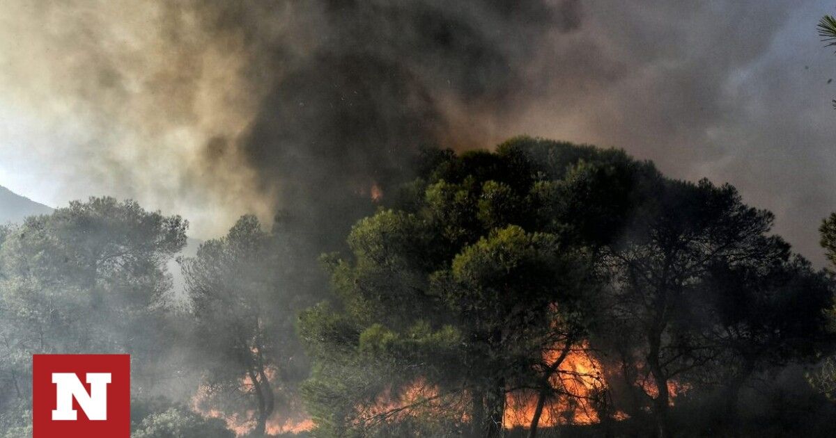 Σύλληψη για πυρκαγιά στην Κρήτη - Newsbomb