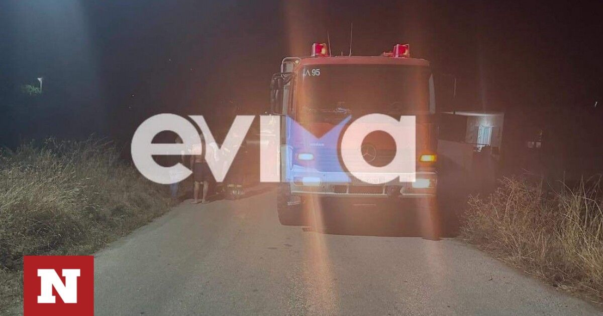 Εύβοια: Φωτιά σε χορτολιβαδική έκταση δίπλα σε σπίτια – Εμπρησμό ...