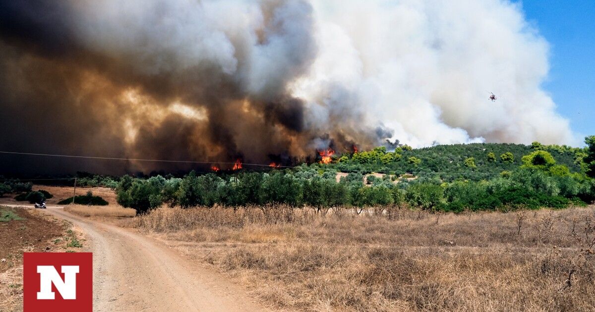Φωτιά στα Ψαχνά Ευβοίας: Σε ετοιμότητα το Λιμενικό στην Αρτάκη για ...