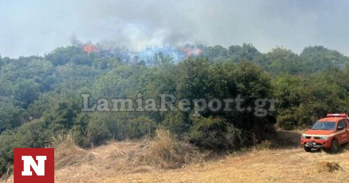 Φθιώτιδα: Πυρκαγιά στη Μακρακώμη σε αγροτοδασική έκταση - Newsbomb