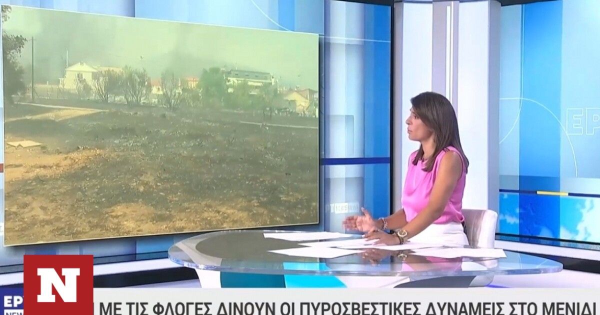 Φωτιές: Οι αντιδράσεις για δήλωση παρουσιάστριας της ΕΡΤ και η εξήγησή ...