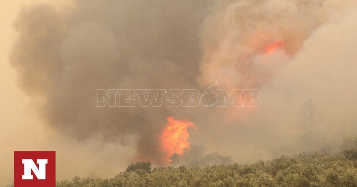 Φωτιά - Meteo: Στον Έβρο η μεγαλύτερη πυρκαγιά των τελευταίων 21 ετών ...